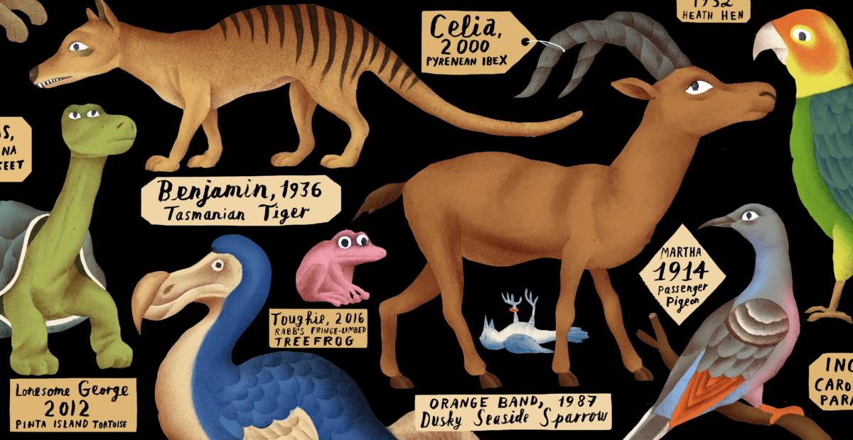 What do you call the last of a species? – by Michelle Nijhuis ...